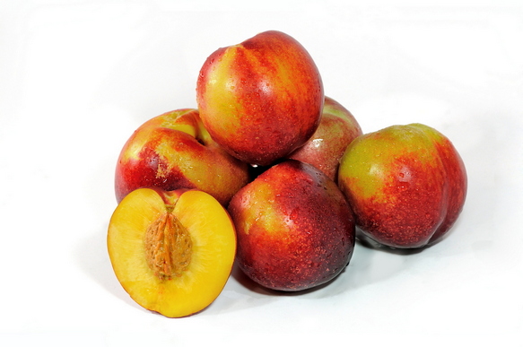 Yellow and white nectarine - HortiqualityHortiquality